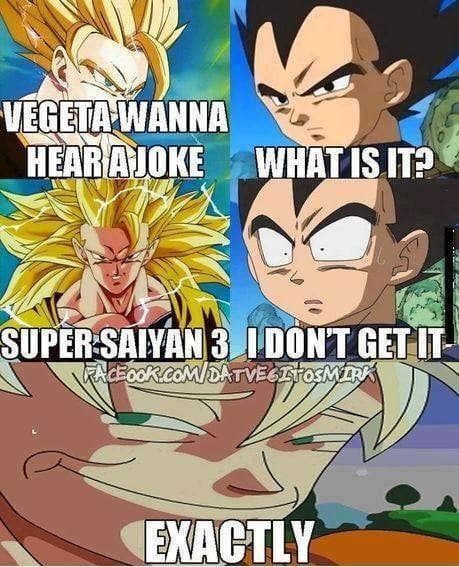 20 Hilarious Memes About Goku And Vegeta's Relationship