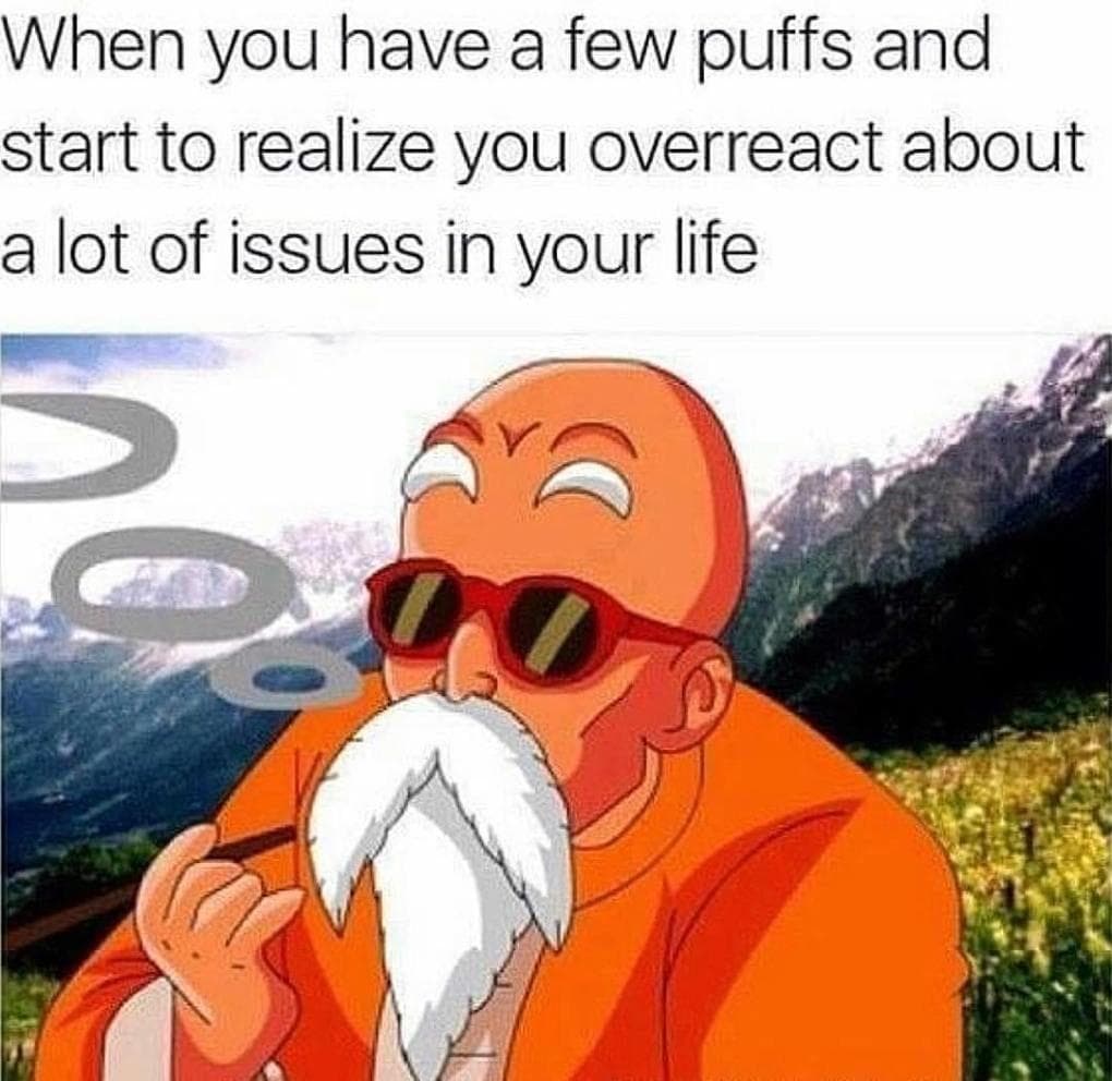 18 Hilarious Master Roshi Memes We Laughed Way Too Hard At