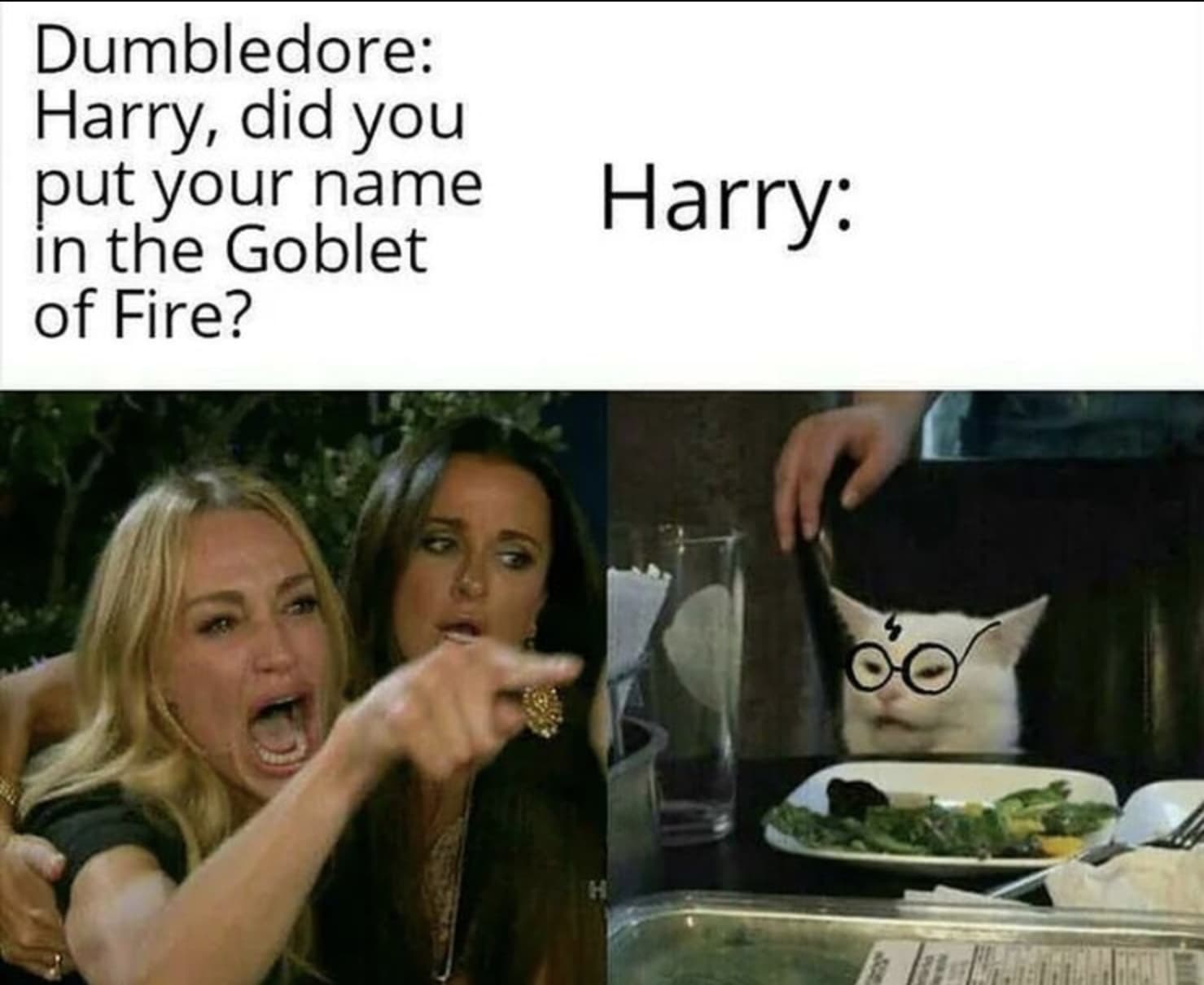 25 Dumbledore Memes More Powerful Than The Elder Wand