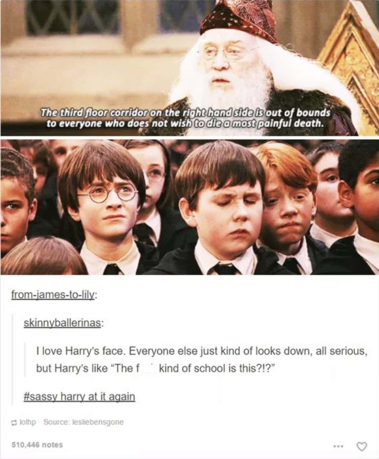 25 Dumbledore Memes More Powerful Than The Elder Wand