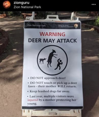 27 Terrifying Safety Signs That Left Us Wondering What Actually Happened