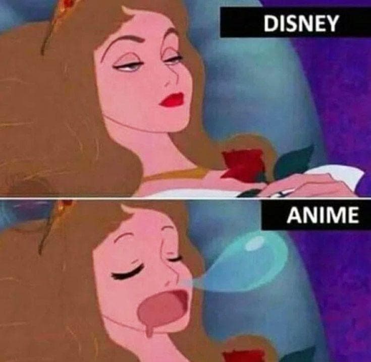 19 Hilarious Memes About Cartoons Vs. Anime That Are Way Too Accurate