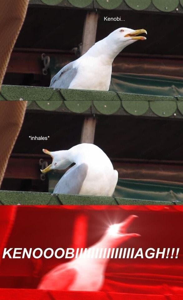 Darth Maul Memes We Laughed Way Too Hard At