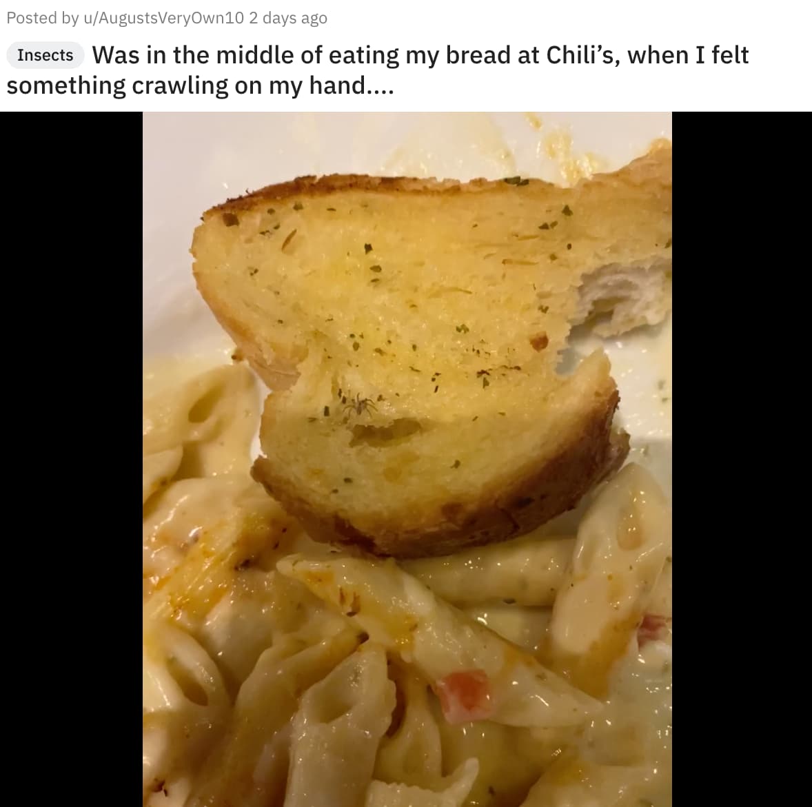 Subtly Horrifying Images That We Can't Get Out Of Our Heads