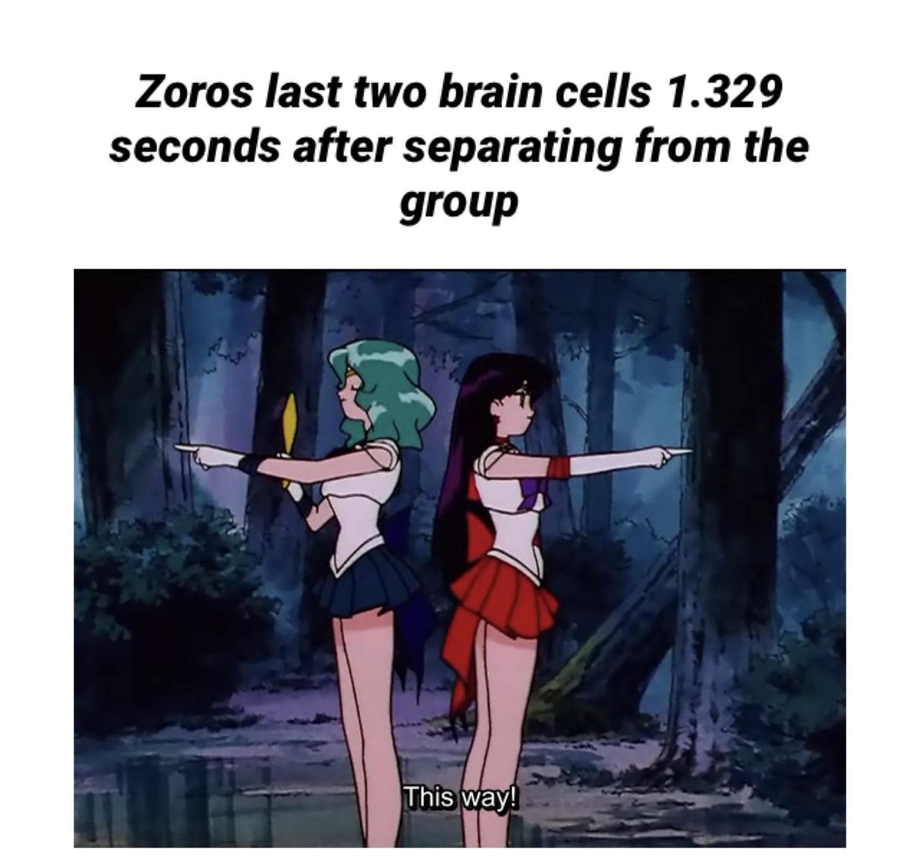 21 Hilarious Roronoa Zoro Memes We Laughed Way Too Hard At
