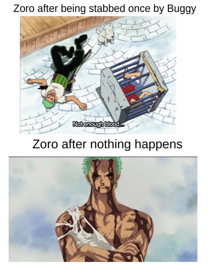 21 Hilarious Roronoa Zoro Memes We Laughed Way Too Hard At