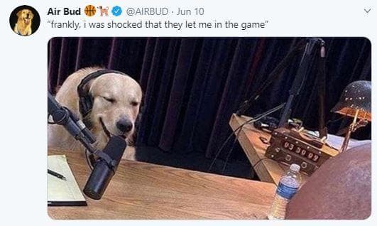 19 Adorable Air Bud Tweets