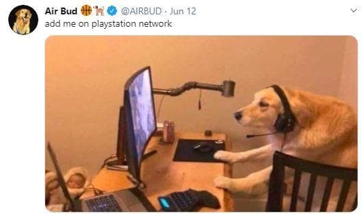 19 Adorable Air Bud Tweets