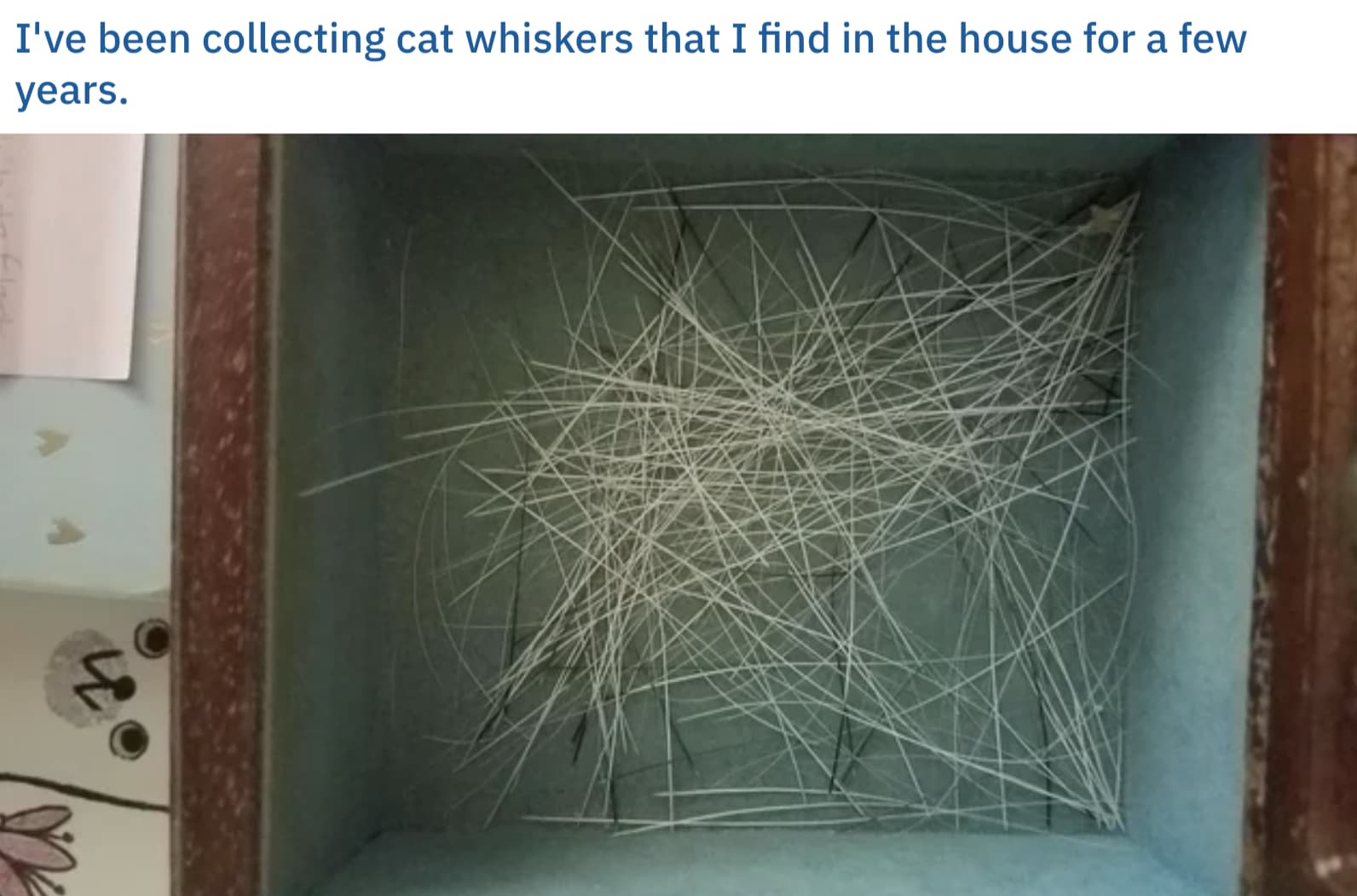 We Found 16 Random Pictures From The Internet That Are Weirdly Fascinating