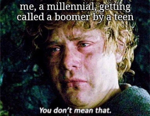 Samwise Gamgee Memes That Prove He's The Most Underrated Lord Of The ...