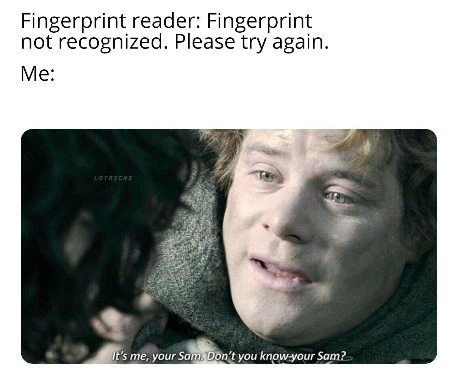 Samwise Gamgee Memes That Prove He's The Most Underrated Lord Of The ...