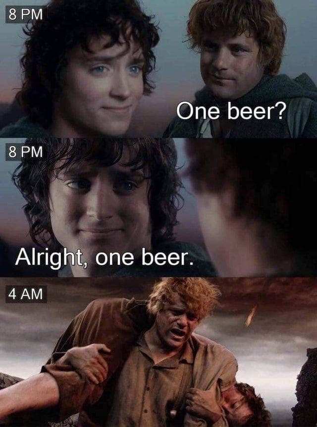Samwise Gamgee Memes That Prove He's The Most Underrated Lord Of The ...