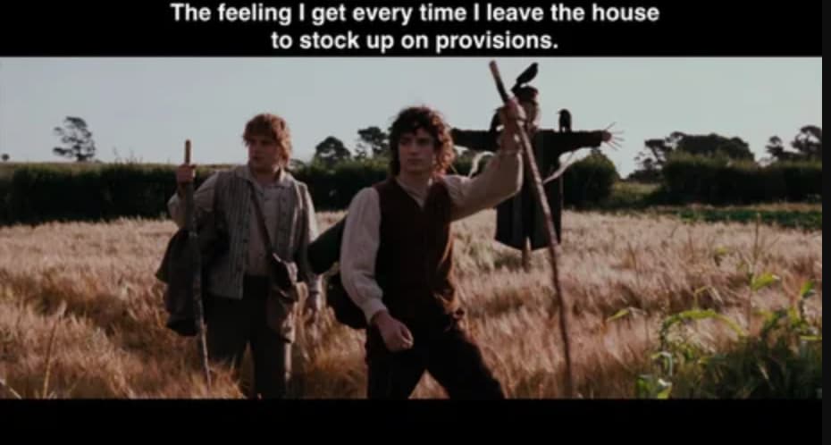 Samwise Gamgee Memes That Prove He's The Most Underrated Lord Of The ...