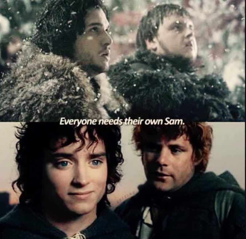 Samwise Gamgee Memes That Prove He's The Most Underrated Lord Of The ...