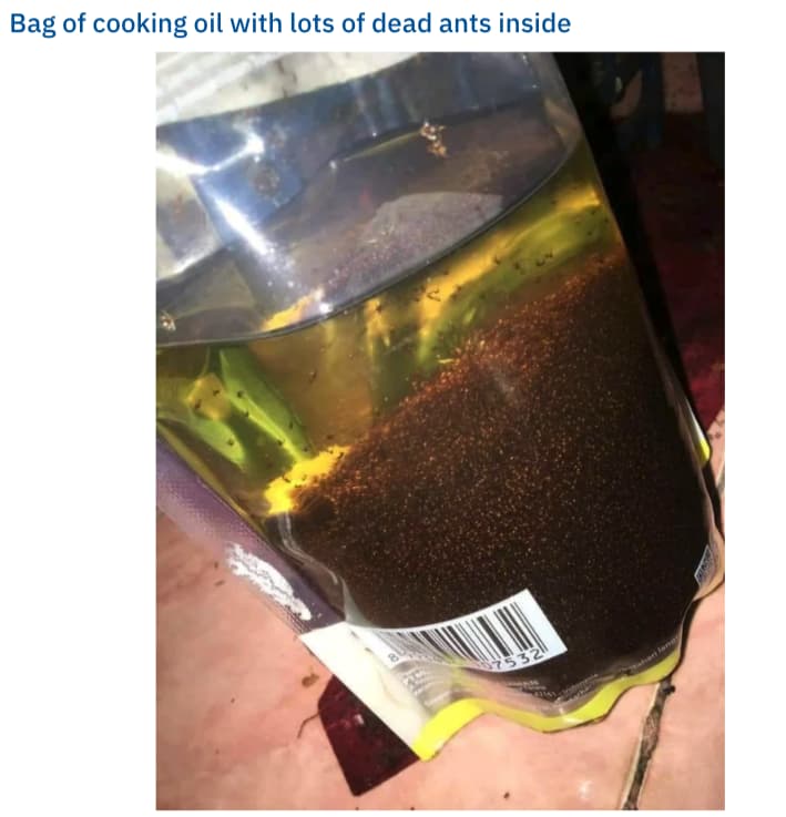 We Found 16 Random Pictures From The Internet That Are Weirdly Fascinating