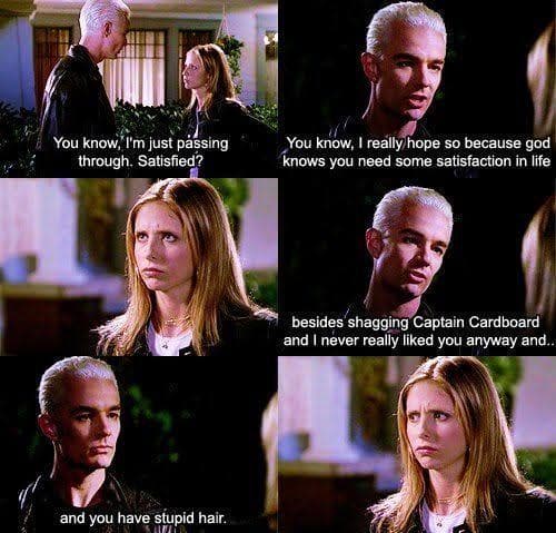 20 Memes That Prove Spike Was The Best Character On 'Buffy The Vampire ...