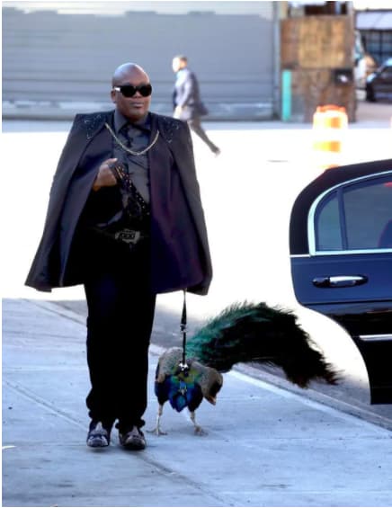 Titus Andromedon Memes That Prove He Is The Best Character On ...