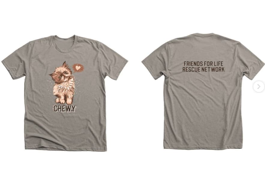 Meet Wolfie, The Adorable Special Needs Cat