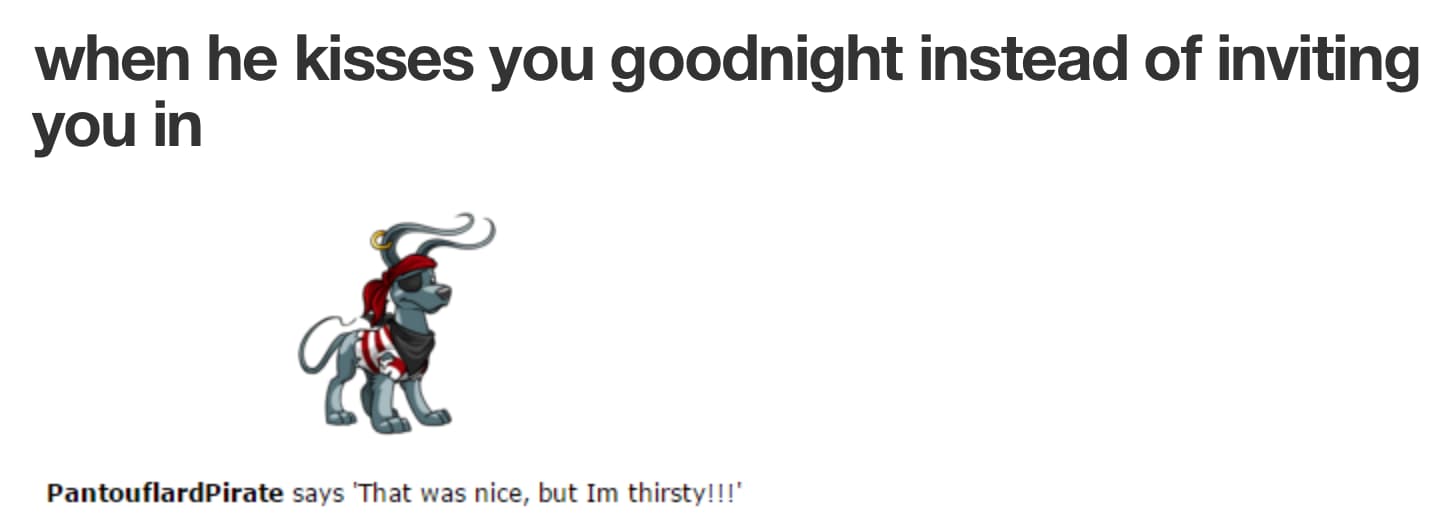 Neopets Memes For Anyone Who Used To Run A Guild And Own A Poogle