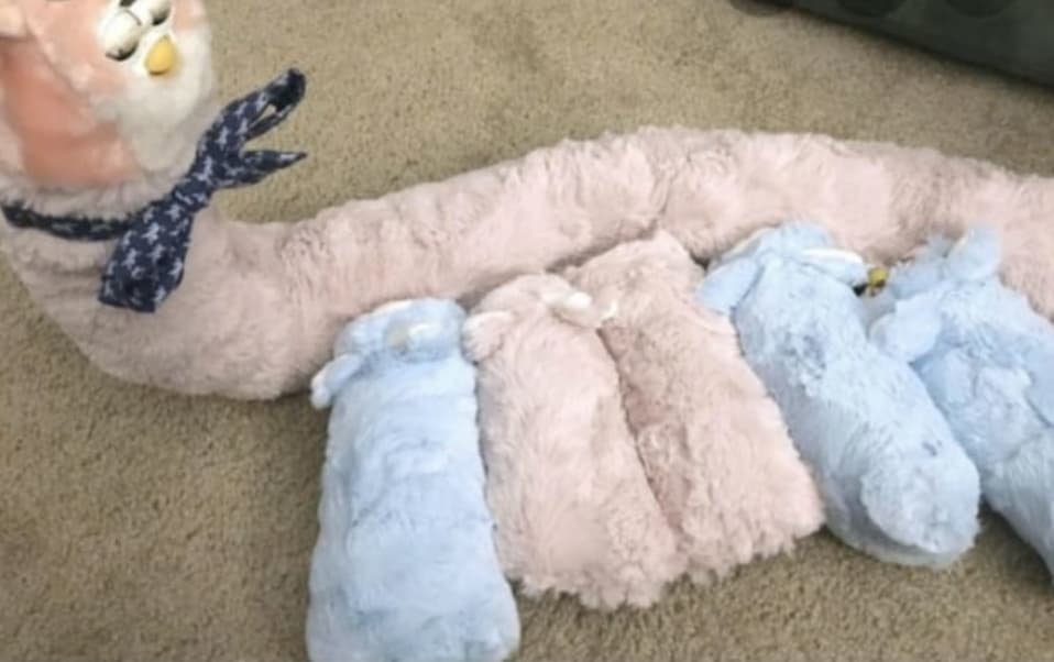 16 Creepy Pictures of Long Furby Toys