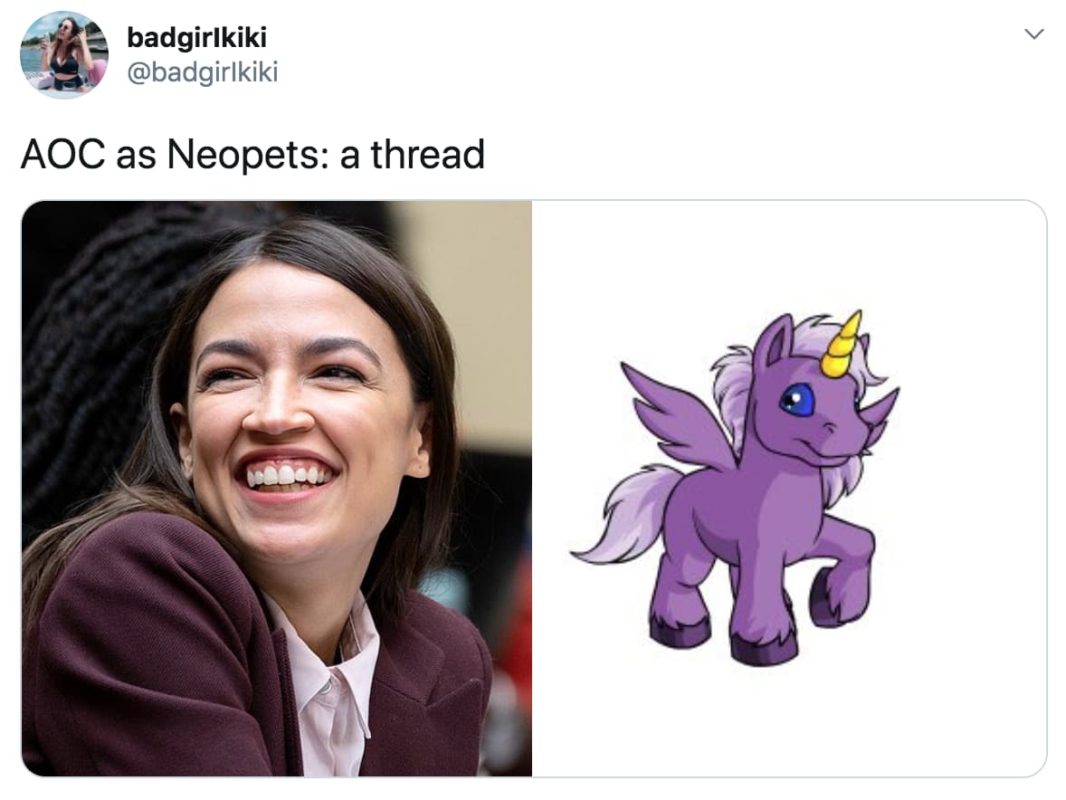 Neopets Memes For Anyone Who Used To Run A Guild And Own A Poogle