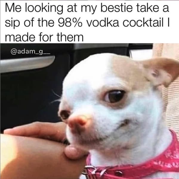 26 Memes That Only Best Friends Can Relate To