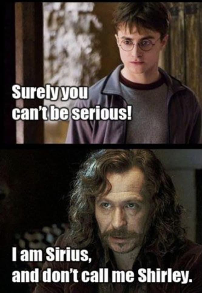 18 Marauder Memes That We Solemnly Swear Are Up To No Good