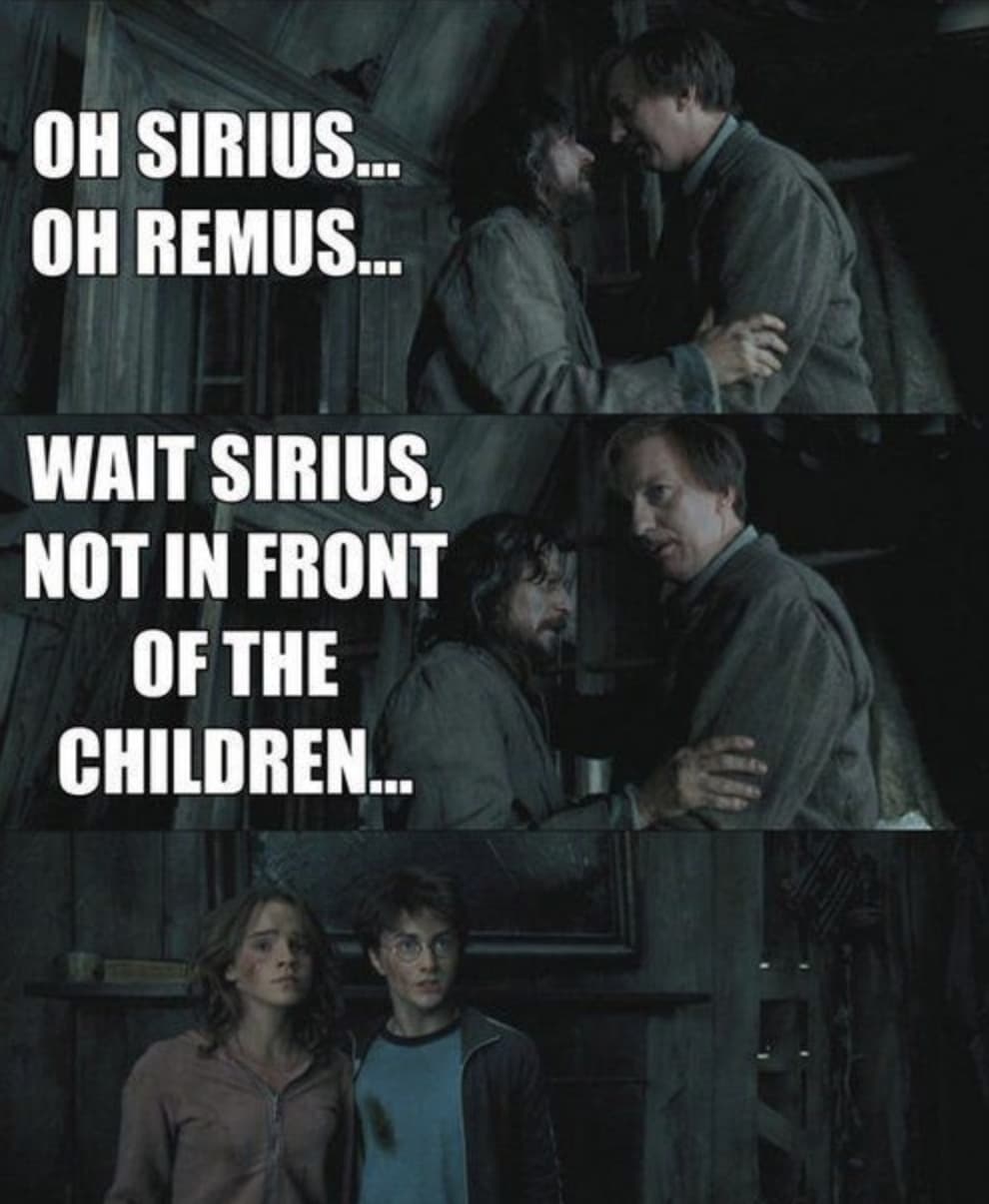 18 Marauder Memes That We Solemnly Swear Are Up To No Good