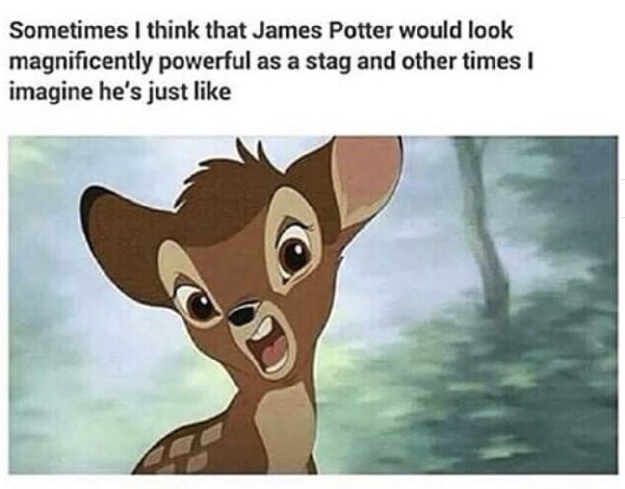 18 Marauder Memes That We Solemnly Swear Are Up To No Good