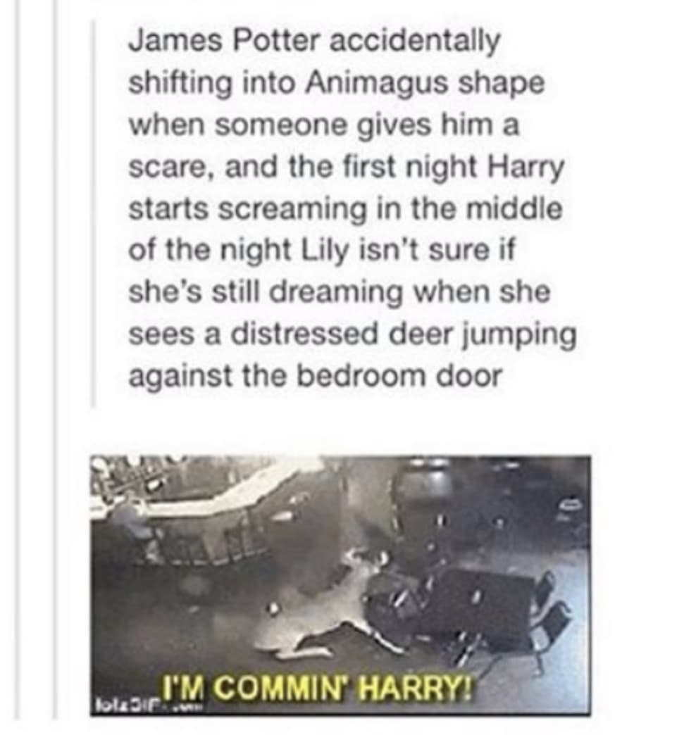 18 Marauder Memes That We Solemnly Swear Are Up To No Good