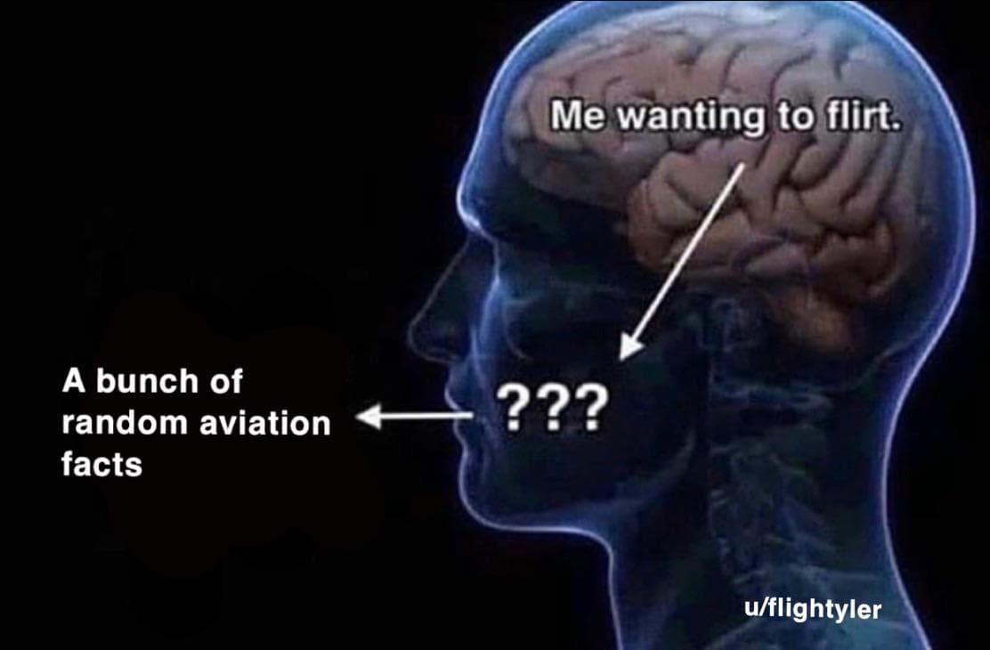 28 Pilot Memes That Prove The Skies Aren't So Friendly