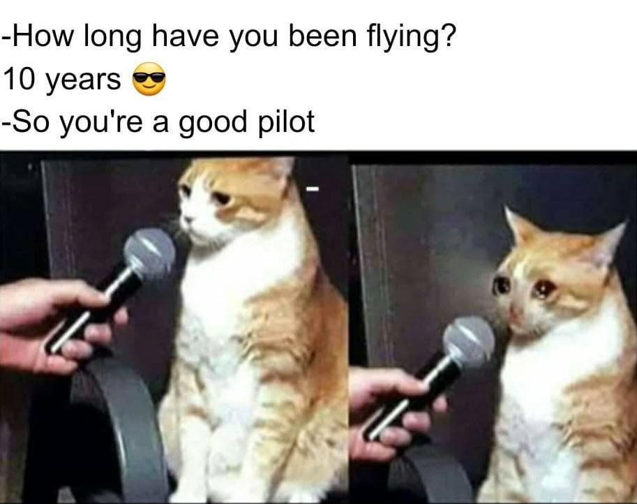 28 Pilot Memes That Prove The Skies Aren't So Friendly