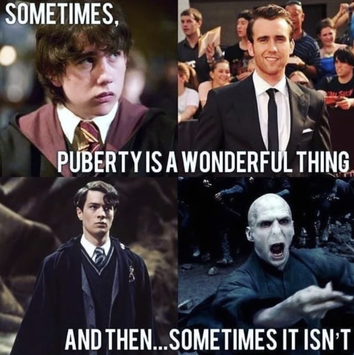 18 Neville Longbottom Memes That Prove He's Actually The Chosen One