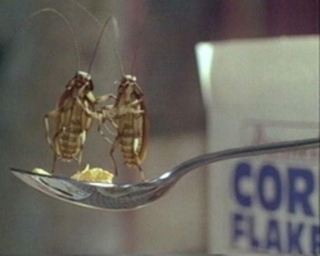 The Grossest Things Actors Do For Movies