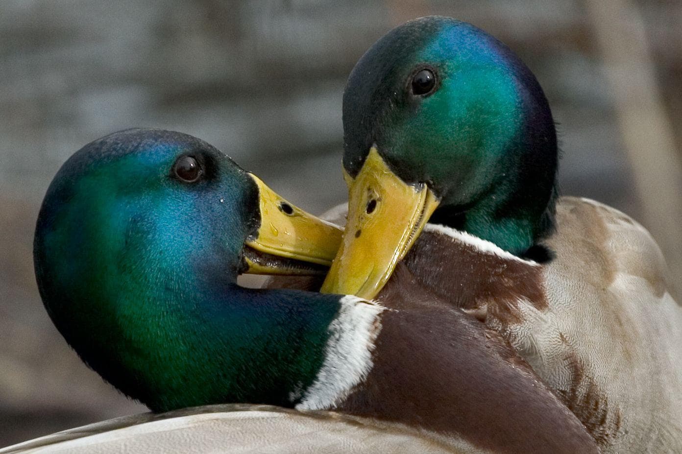 21 Creepy And Disturbing Facts That Made Us Say, 'Nope'