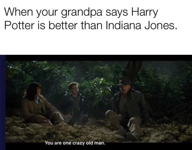 22 Indiana Jones Memes That Prove Crystal Skull Deserves More Respect
