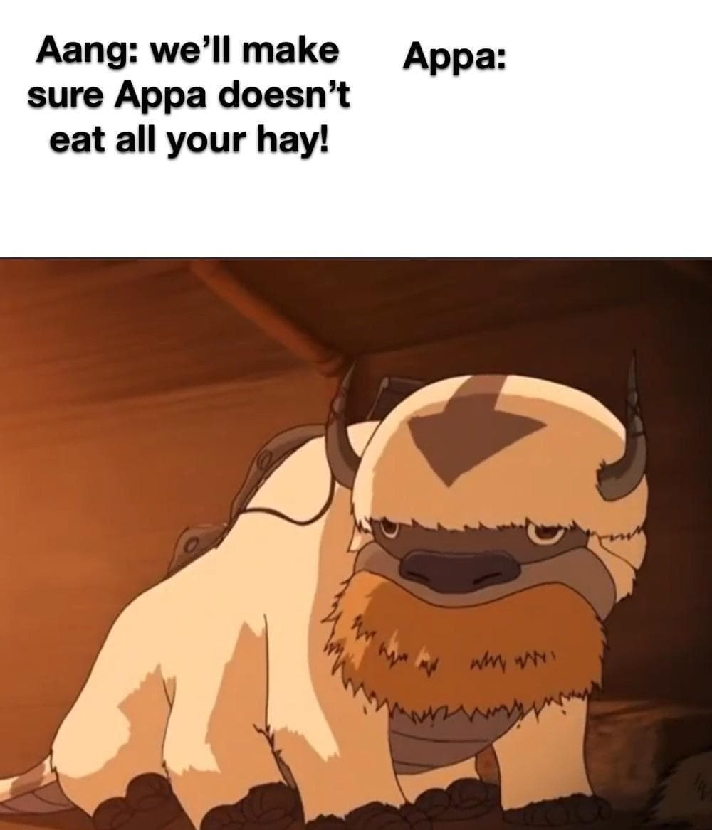 25 Appa Memes For ATLA Fans Who Know He's The Best Part Of The Series