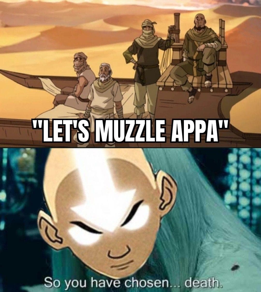 25 Appa Memes For ATLA Fans Who Know He's The Best Part Of The Series