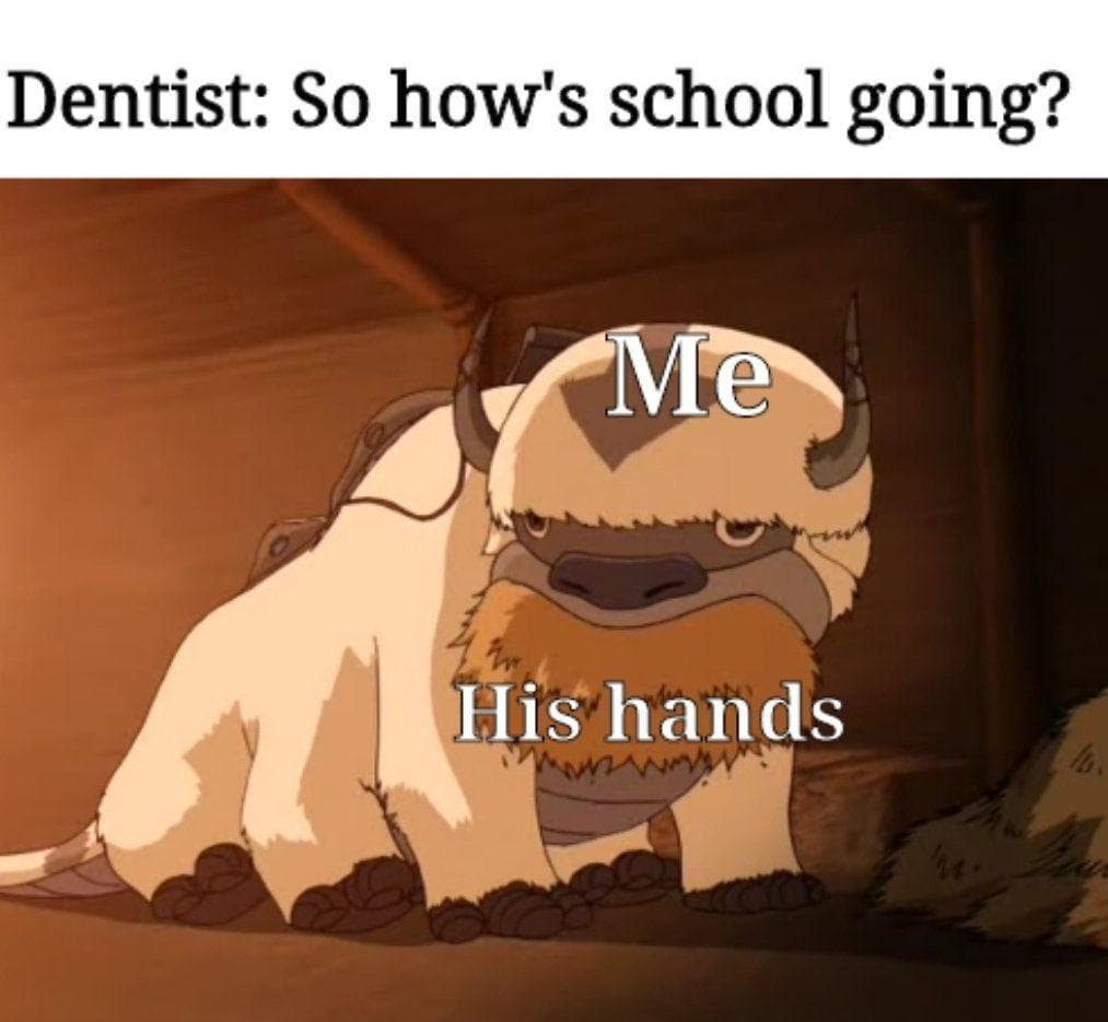 25 Appa Memes For ATLA Fans Who Know He's The Best Part Of The Series