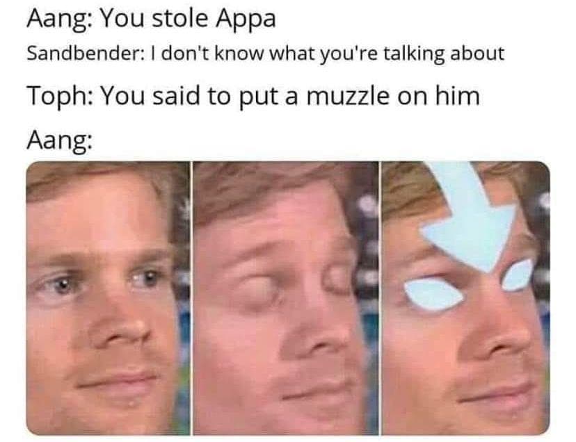25 Appa Memes For ATLA Fans Who Know He's The Best Part Of The Series