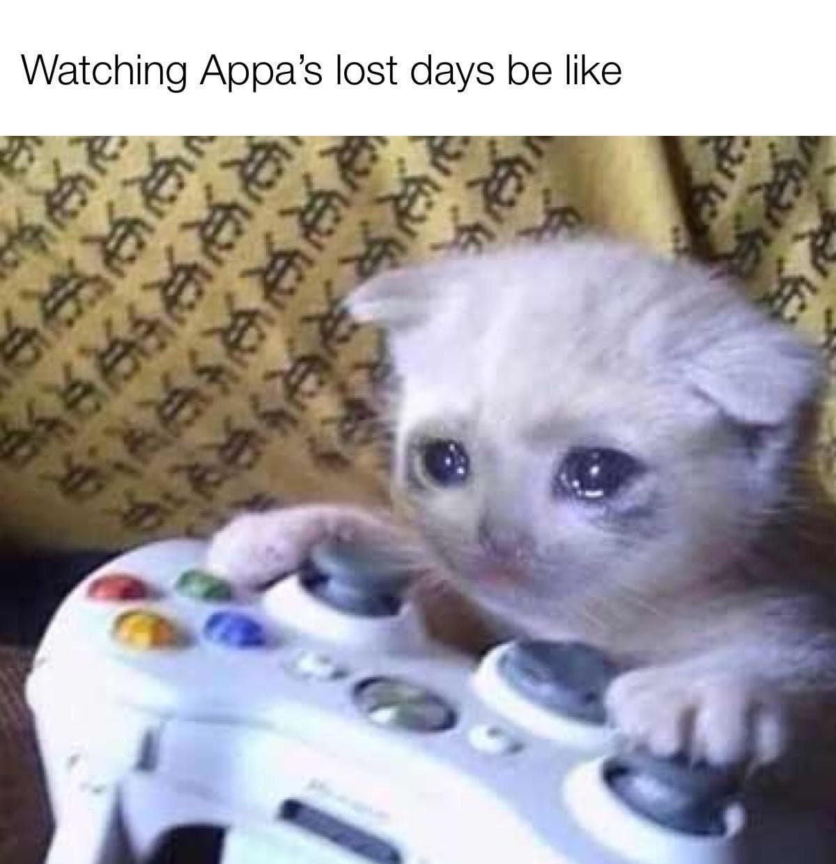 25 Appa Memes For ATLA Fans Who Know He's The Best Part Of The Series