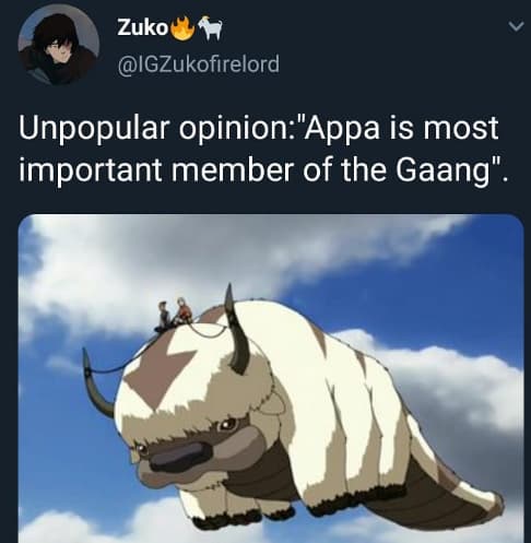 25 Appa Memes For ATLA Fans Who Know He's The Best Part Of The Series