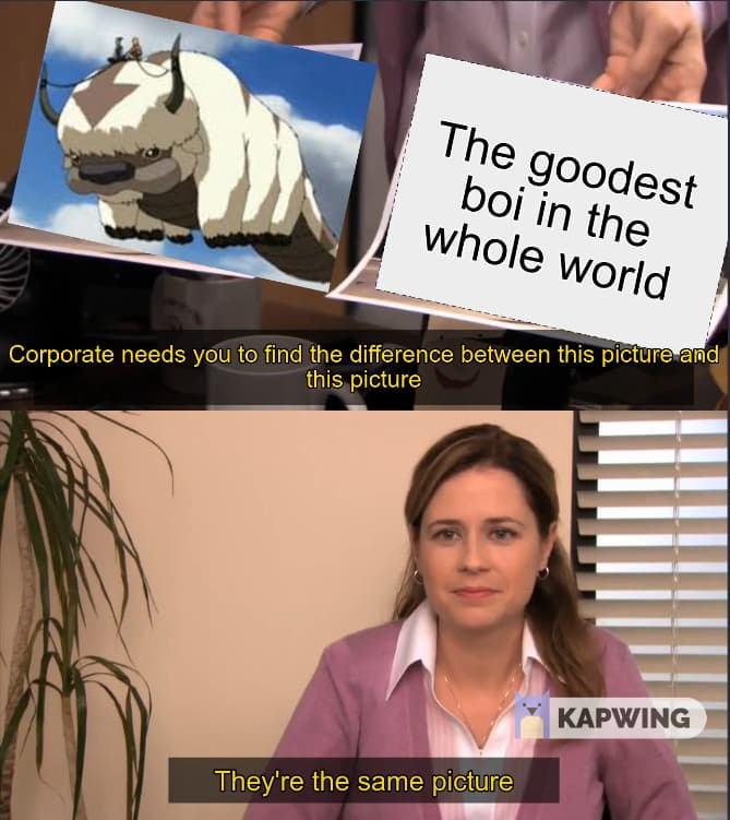 25 Appa Memes For ATLA Fans Who Know He's The Best Part Of The Series