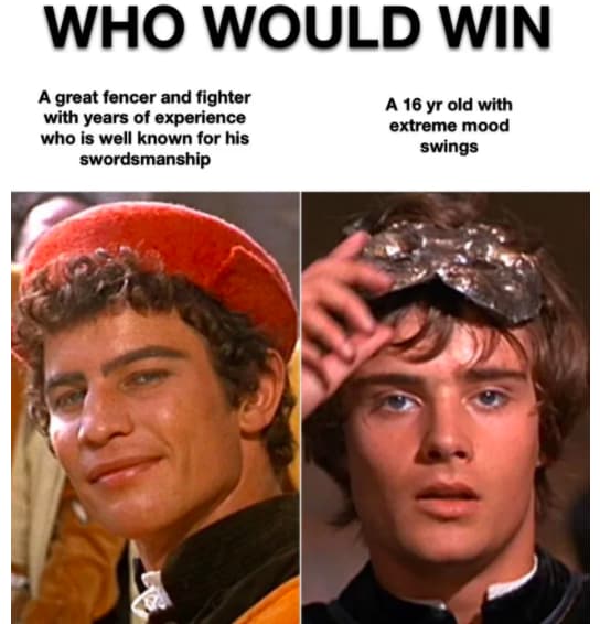 Romeo & Juliet Memes That Actually Made Us Laugh Out Loud
