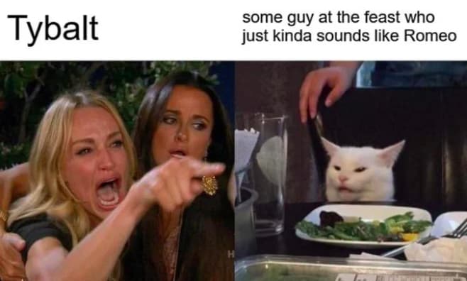 Romeo & Juliet Memes That Actually Made Us Laugh Out Loud