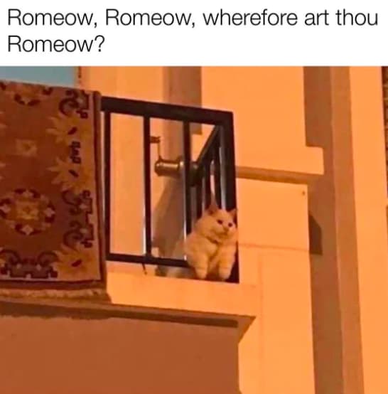 Romeo & Juliet Memes That Actually Made Us Laugh Out Loud