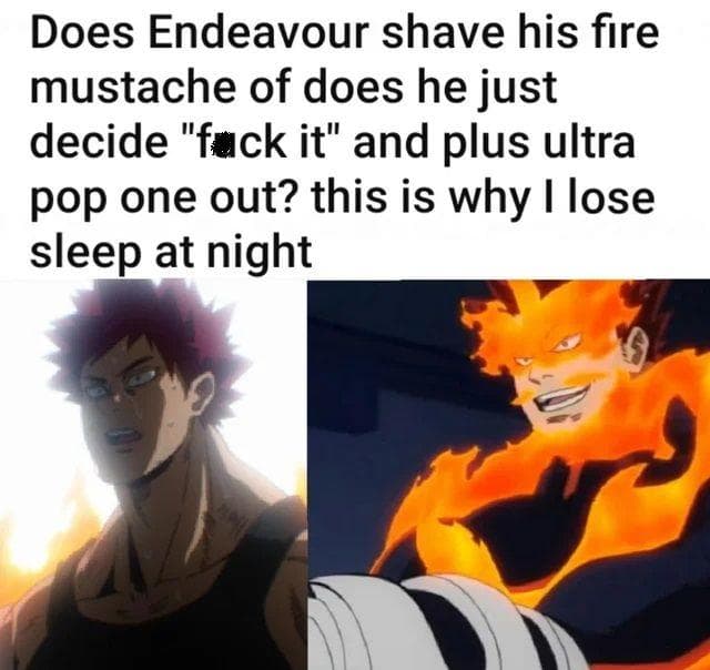 25 Hilarious Endeavor Memes We Laughed Way Too Hard At