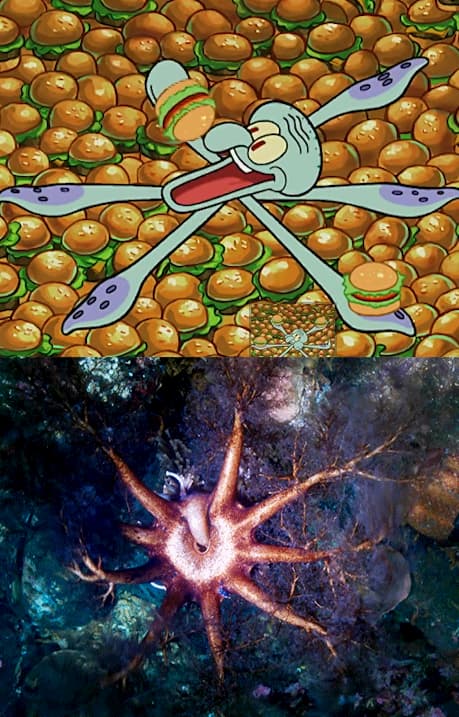 Small Details From SpongeBob That Prove It's Way More Clever Than We ...