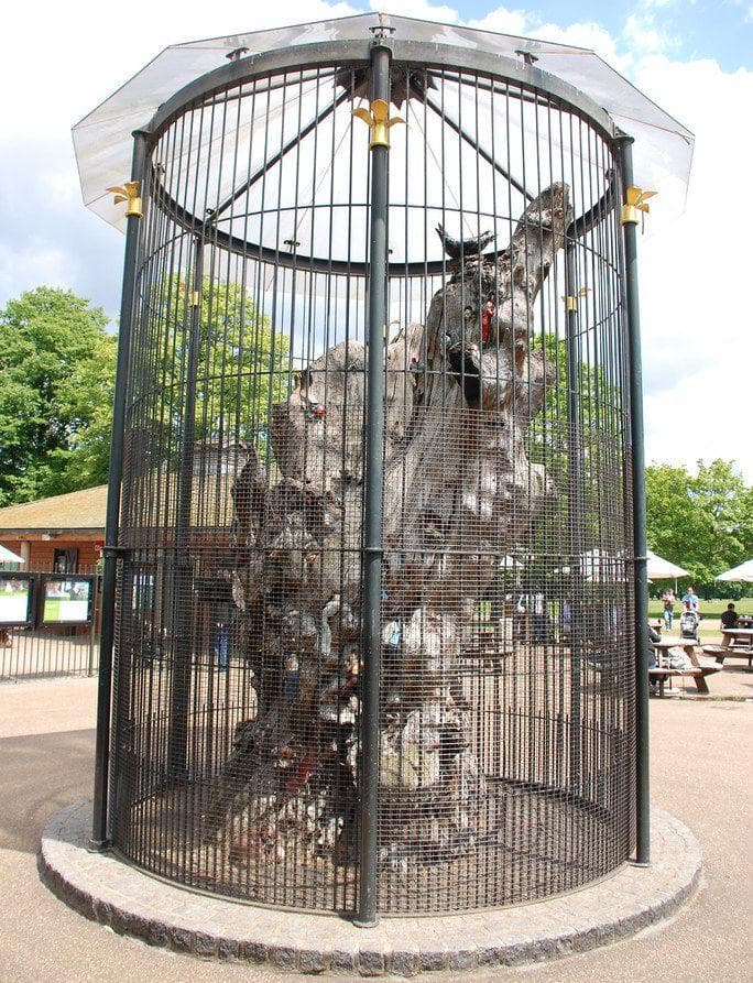 15 Unique And Weird Trees