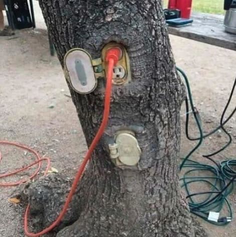 40 Weird Pictures Of Trees Eating Things People Left Behind